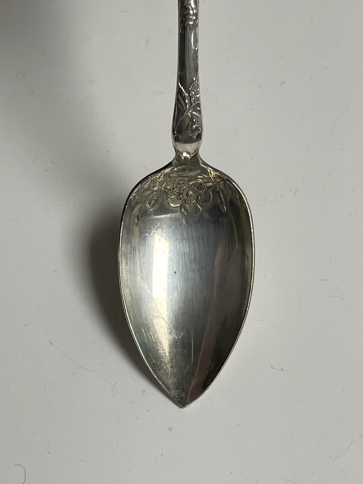 Oneida 1877 Niagara Falls Silver Wild Rose Grapefruit Mellon Spoon ...