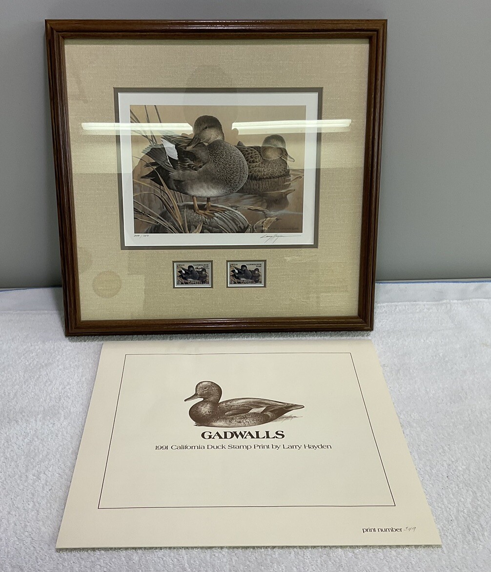 Larry Hayden Duck Prints DUCKS UNLIMITED PRINTS ART