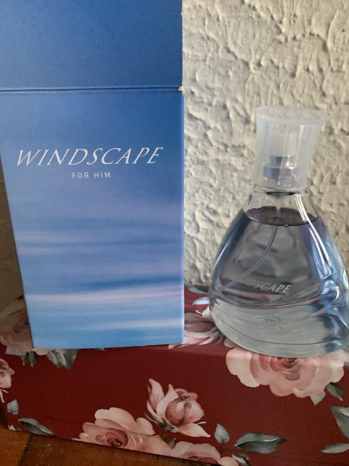 Avon Windscape For HIM EDT Spray 75ml Discontinued VTG Boxed | eBay UK