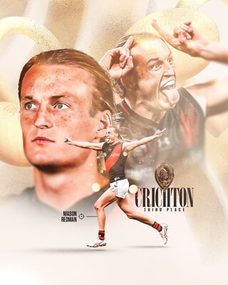 ESSENDON BOMBERS TEAM PLAYER POSTER, FREE POST, BARGAIN,FOOTBALL | eBay ...