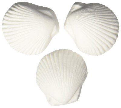 Weco Wonder Shell Natural Minerals (3 Pack), Small | eBay
