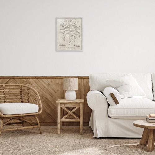 Vintage Botanical Herb Framed Giclee Art Design by Lettered and Lined ...