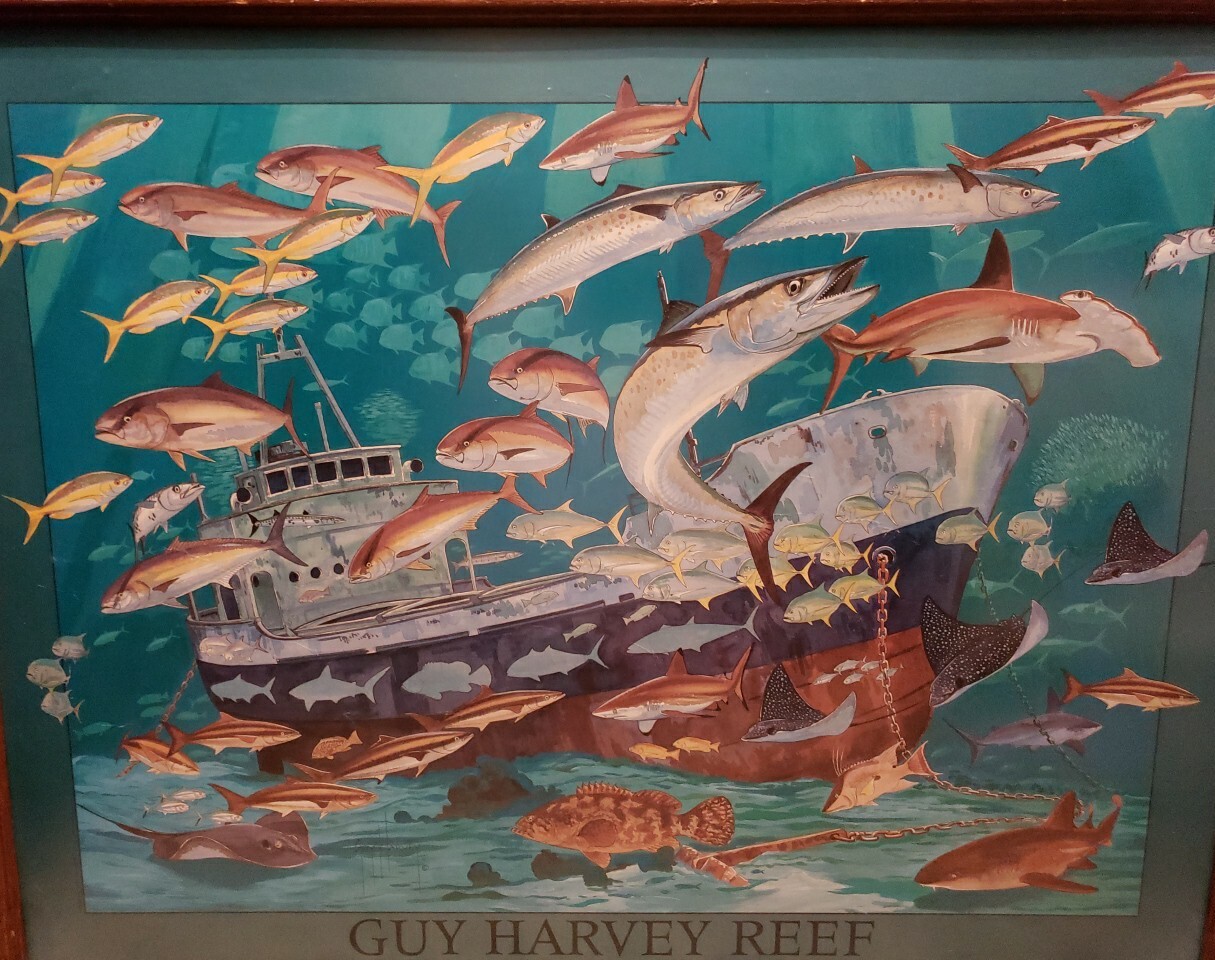 Guy Harvey Print “REEF” | eBay