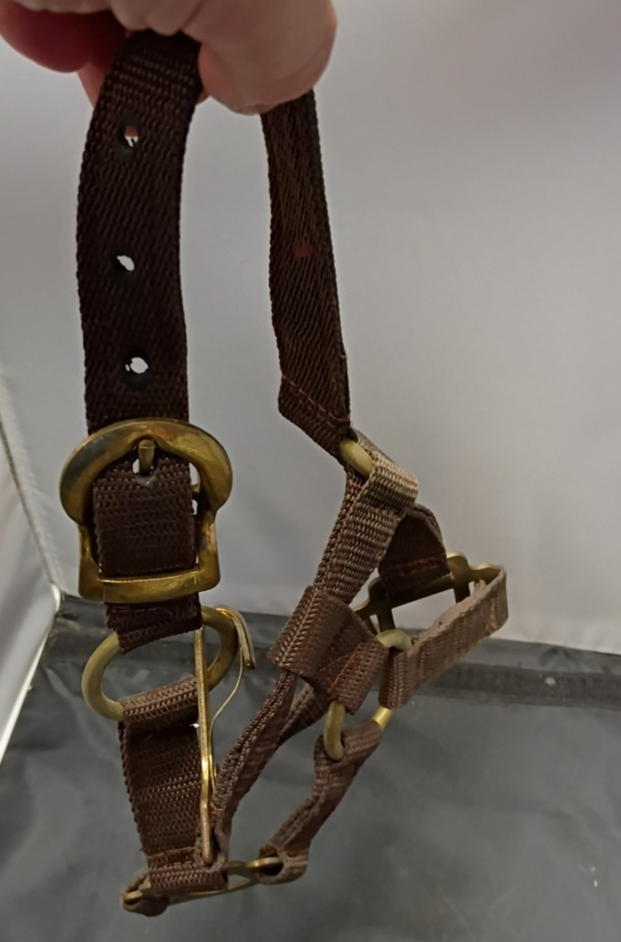 Brown Nylon Alpaca Small Horse Aminal Halter Brass Hardware | eBay