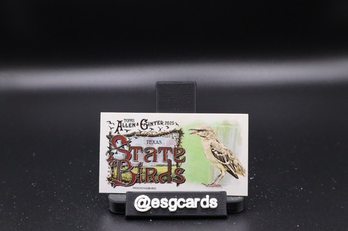 2025 Topps Allen & Ginter - #SB-43 State Birds Mini - Mockingbird Texas ...