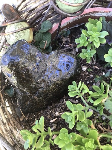 Natural Heart Shaped River Tumbled Oreg Rock love Desk Yard Art Mineral ...