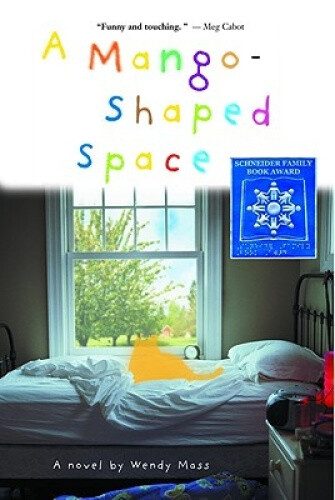 A Mango-Shaped Space by Mass, Wendy 9780316058254 | eBay