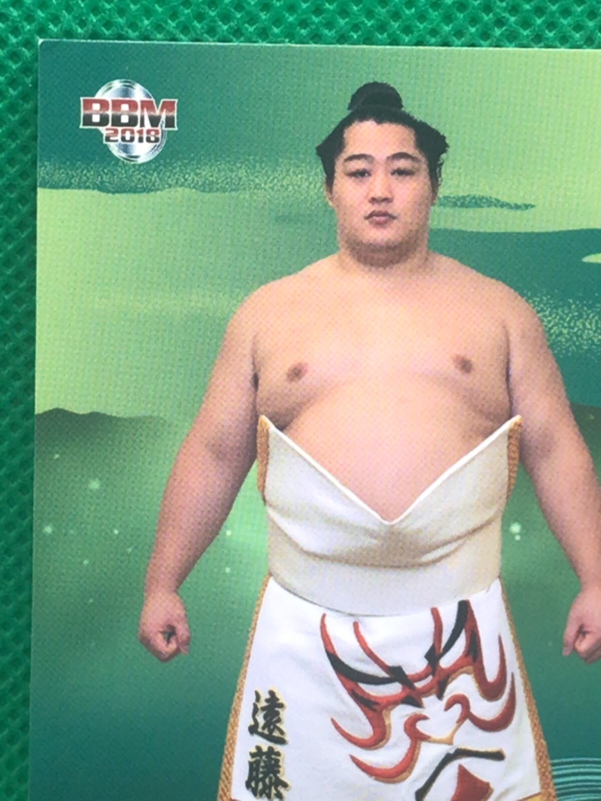 ENDO SHOTA Maegashira SUMO BBM 2018 card Oitekaze Japanese very rare | eBay