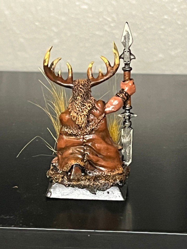 Pro Painted Miniature - Barbarian, Ranger, Druid, Hunter | eBay
