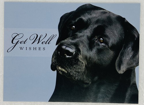Vintage Get Well Card “Hope You’re Feeling Better Soon” Black Labrador ...
