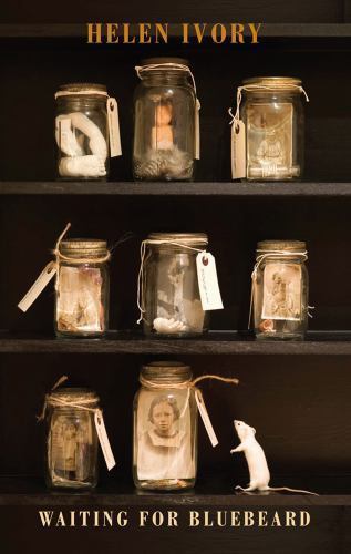 Waiting for Bluebeard by Helen Ivory (2013, Trade Paperback) for sale ...