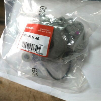 Genuine For Honda Water Pump 19200-PLM-A01 | eBay