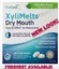 Xylimelts Dry Mouth Discs MILD MINT 40ct ( 3 pack ) 120 tabs! NEW LOOK ...