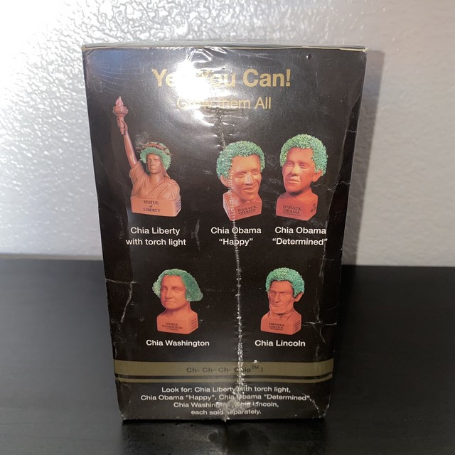 Chia Obama Handmade Decorative Planter Happy Pose Standing Planters for ...