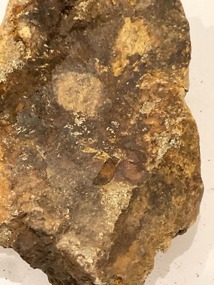Excellent Colorado Rich Gold Ore Rock Specimen chunk 826g see the gold ...