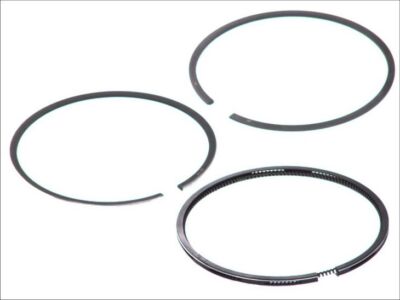 Piston Ring Kit GOETZE 08-110100-00 | eBay Australia