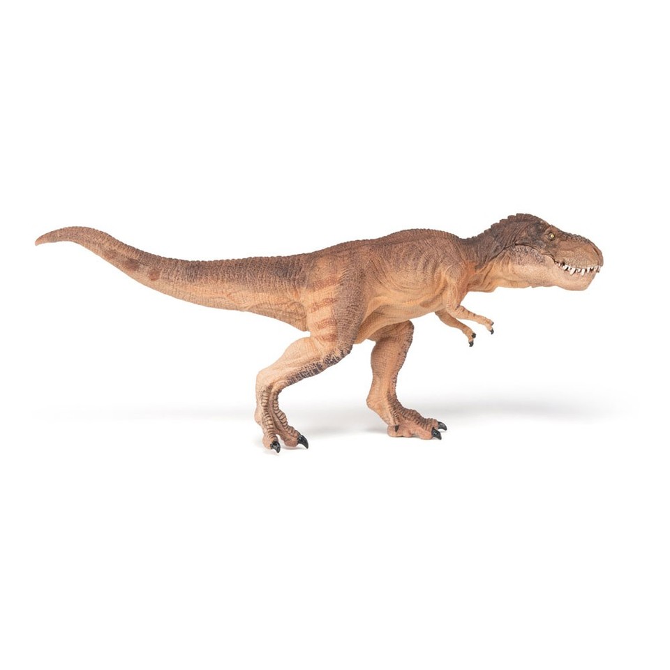 PAPO Dinosaurs Brown Running T-rex Toy Figure, Multi-colour (55075) | eBay