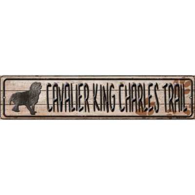 Cavalier King Charles Trail Novelty Metal Small Street Sign K-047 | eBay