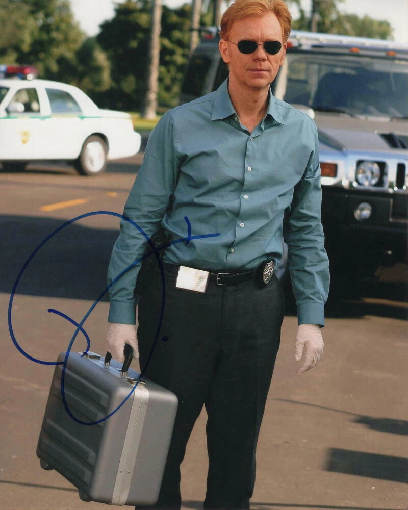 Horatio Caine Sunglasses