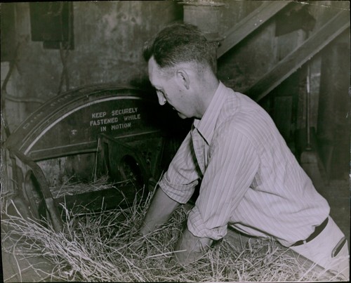 LG839 1944 Orig Madeleine Osborne Photo SILAGE CUTTER Man Shoving Grass ...