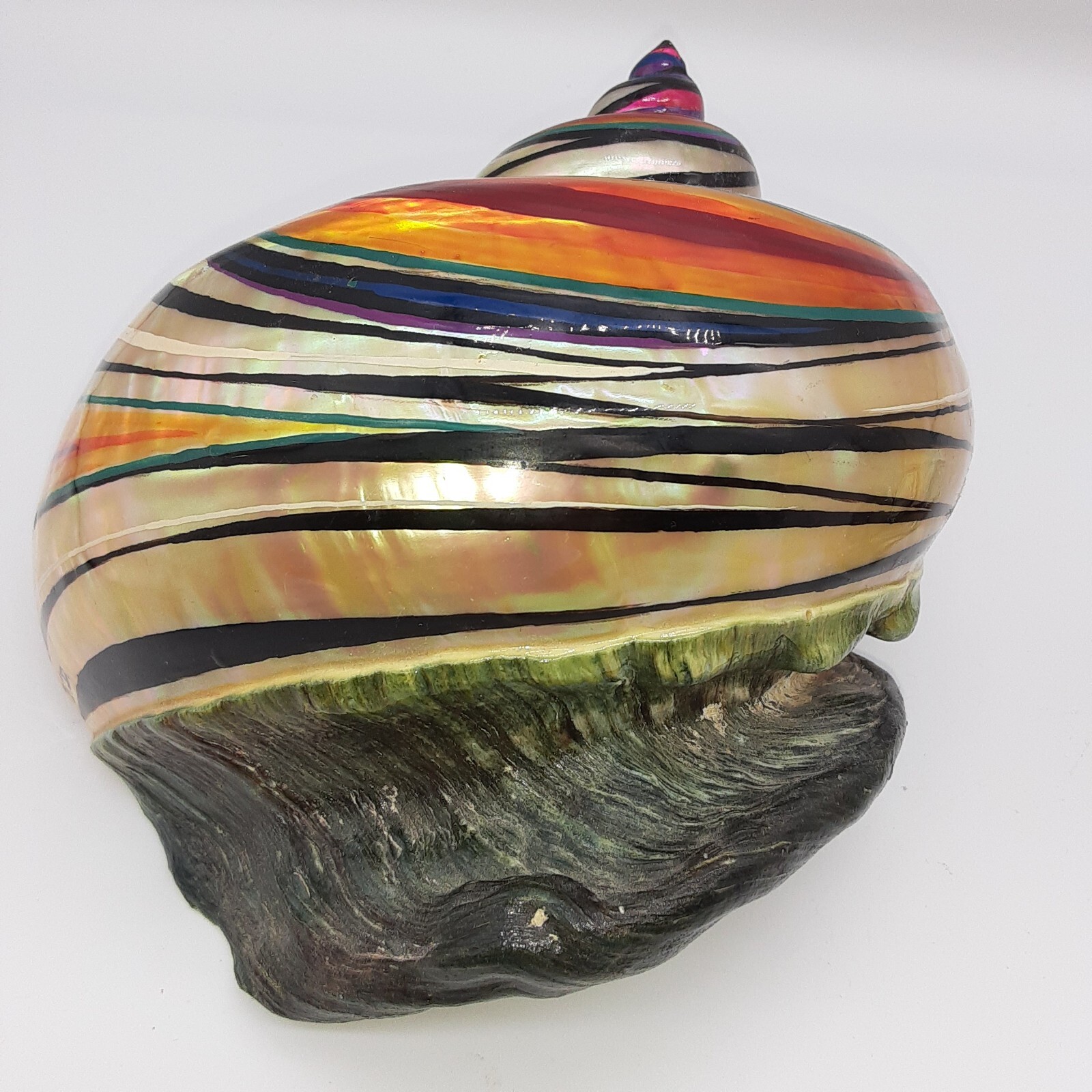 1980s Parisian Shell Art Painted Metallic Marmoratus Turbo Shells ...