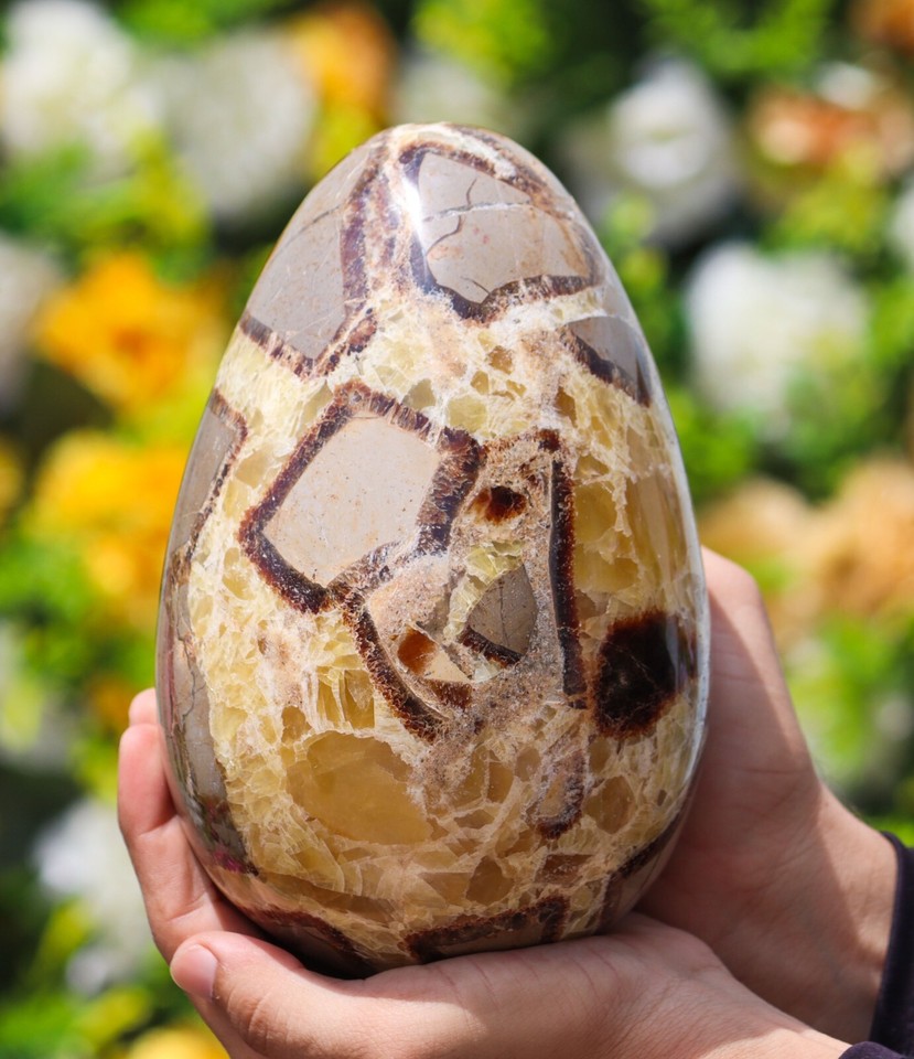 180MM Yellow Septarian Egg Septaria Septeyre Chakra Crystal Healing ...