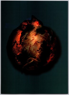 Sandman #71 Cover Art Comic Poster Pin-Up Original Dave McKean Neil ...