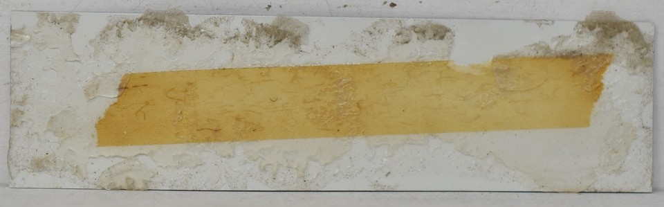 1981 Ricart Ford Performance Antique Car Show Columbus Franklin County ...