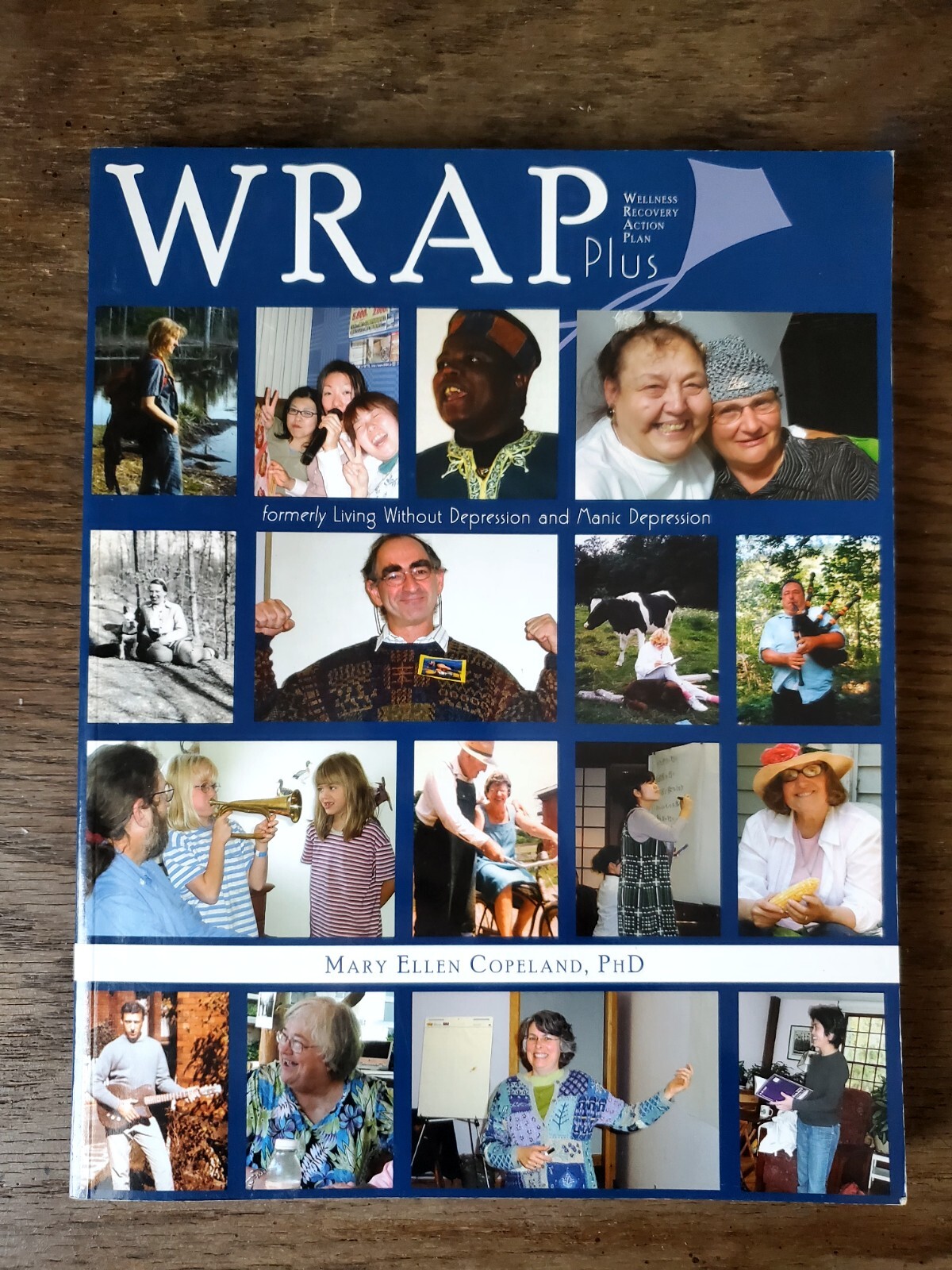 WRAP Plus by Mary Ellen Copeland (2010, Trade Paperback) for sale ...