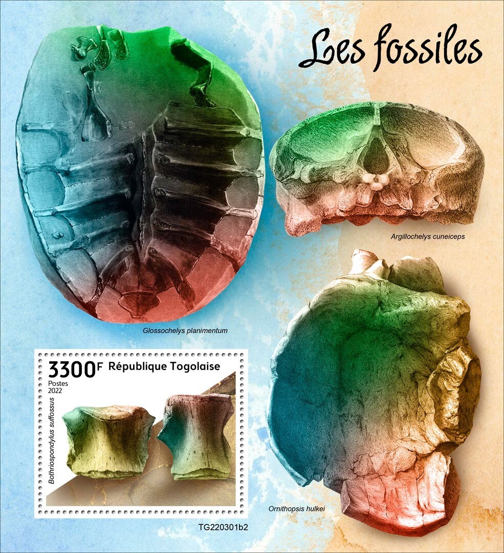 Fossils MNH Stamps 2022 Togo Souvenir Sheet | eBay