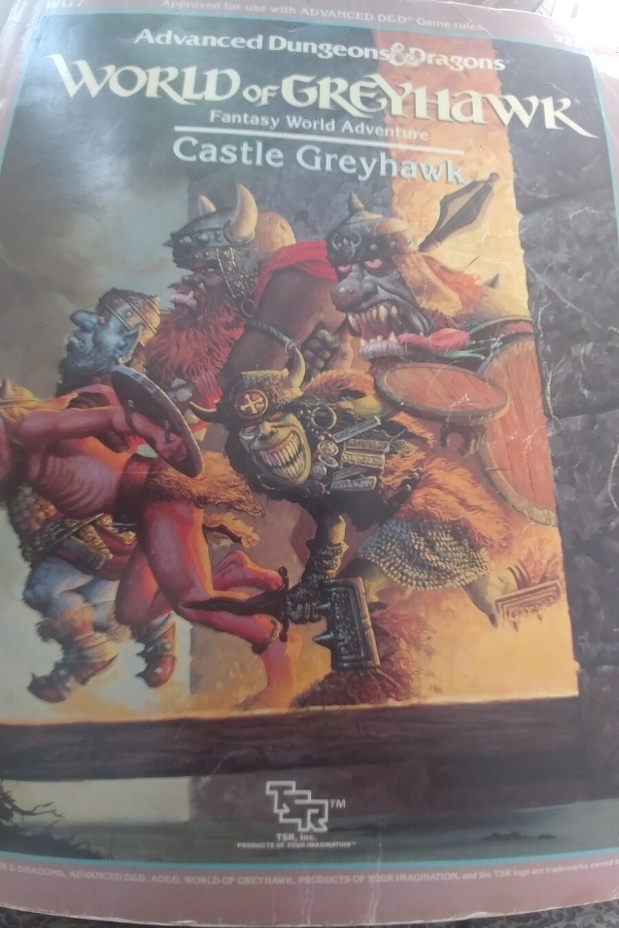 AD&D World of Greyhawk Castle Greyhawk TSR | eBay