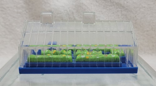 HO SCALE TRAIN GREENHOUSE BUILDING | eBay