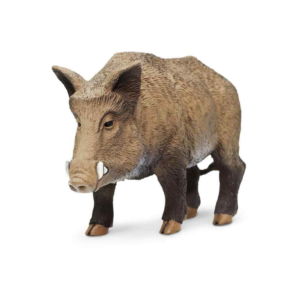 BOAR Animal Figurine Safari Ltd. toy Wild Safari Wildlife | eBay