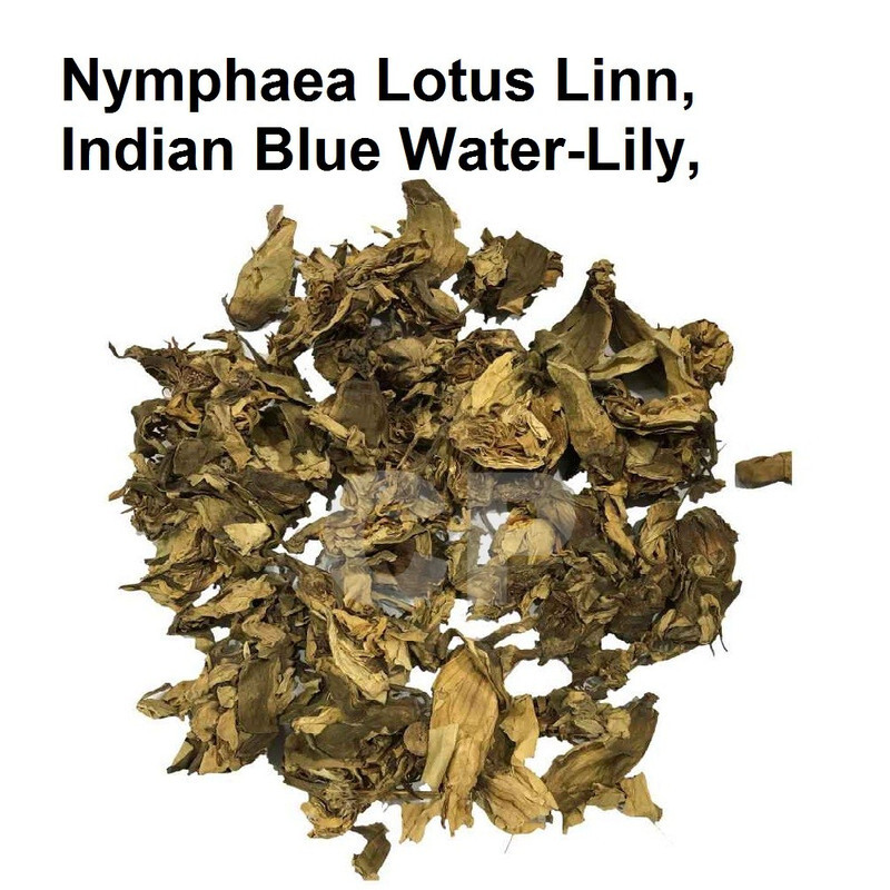 Nymphaea Lotus Linn India Blue Water-Lily Nilofar NeelKamal Kumud 250g ...