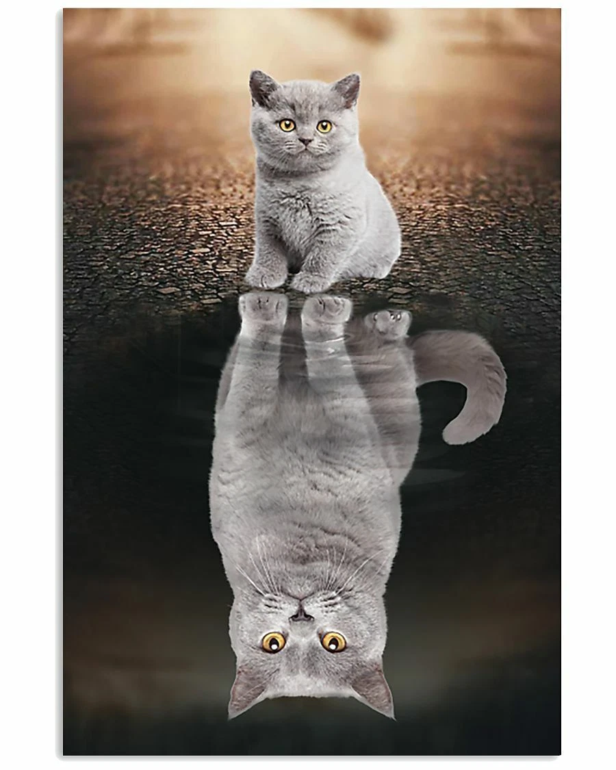 Believe Cat Poster