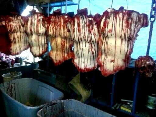 GORY SKINNED TORSO Halloween Props, OOAK by: MADMAT | eBay