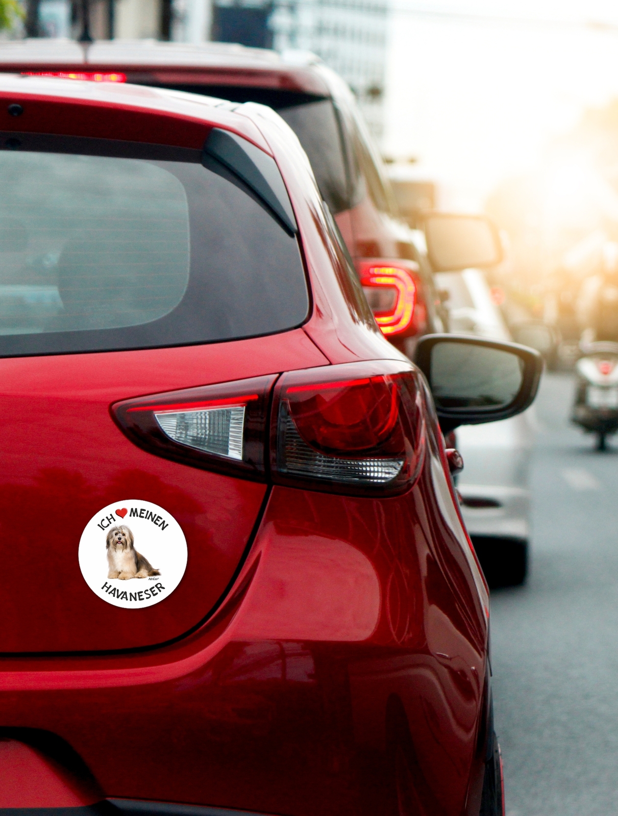 Runde Aufkleber 3er-Set - Havaneser - Ø 9,5cm - Deko Autoaufkleber ...