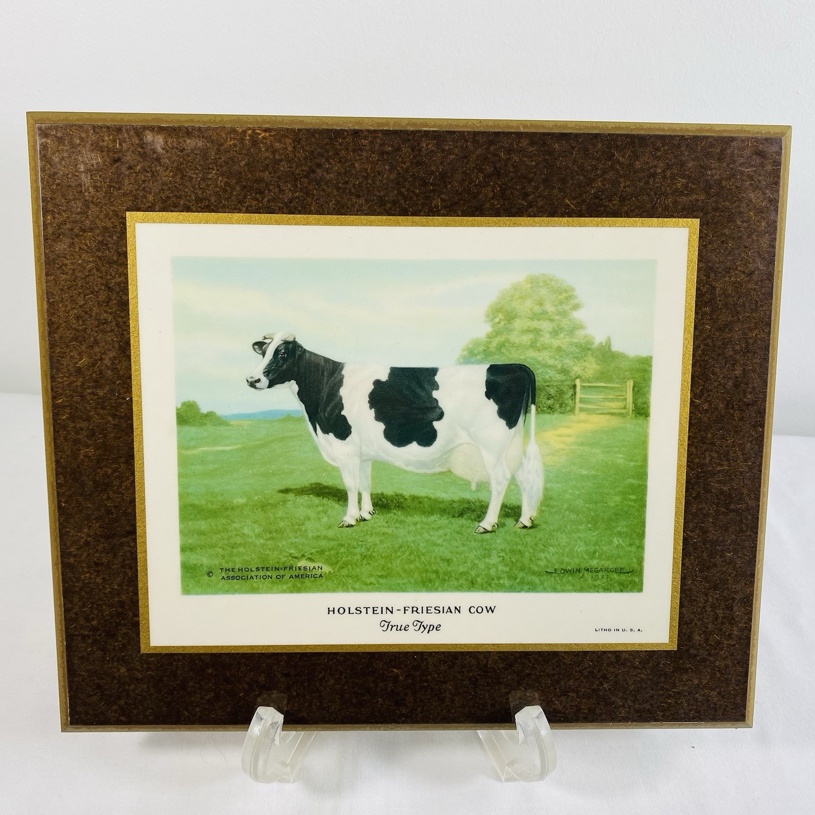 Vintage Holstein Friesian Association Of America True Type Cow Ed ...