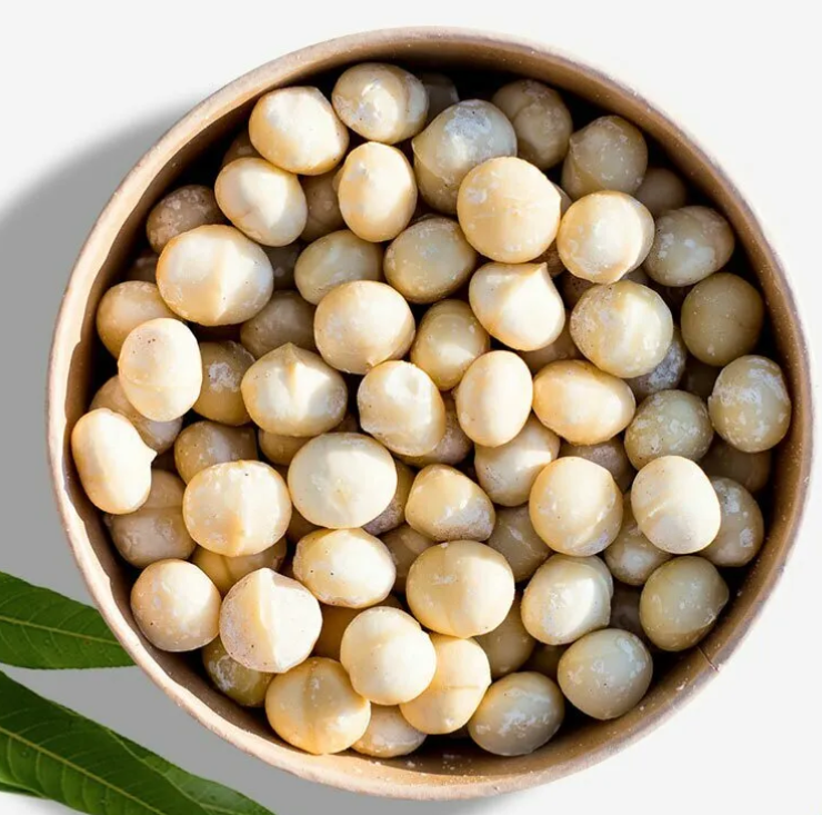Raw Macadamia Nuts | Premium Quality | High Protein & Healthy Fats ...