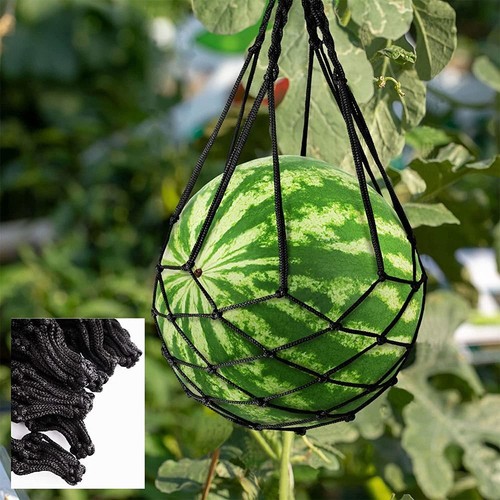 Holder Stand Trays Pumpkin Support Melon Hammock Watermelon Nets Melon ...