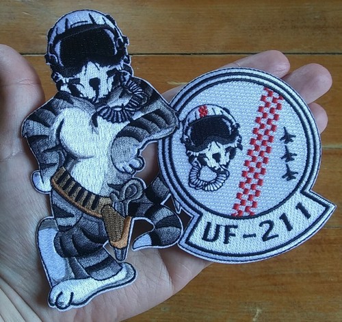 US NAVY ~ VF 211 CHECKMATES ~ TOMCAT Standing ~ USN Collectors MILITARY ...