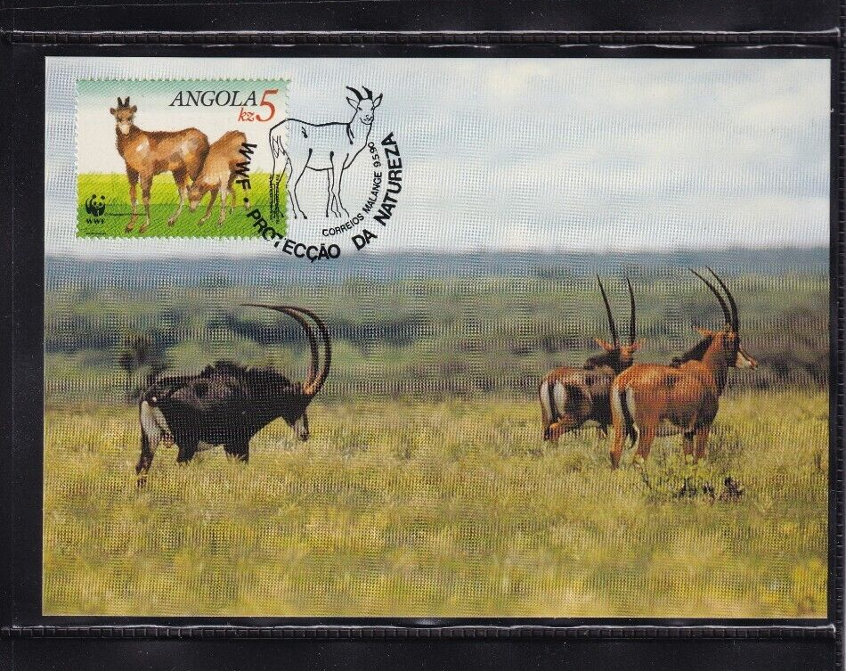 Angola 799 MAXI CARD ANTELOPE WWF 1990 WILD LIFE AFRICA CARTE MAXIMUM ...