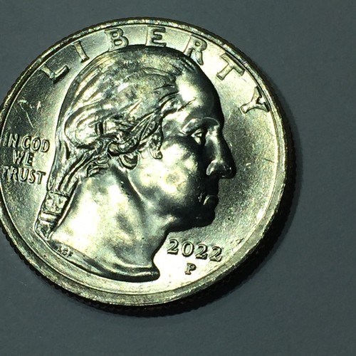 WASHINGTON QUARTER 2022 P ERROR FLOWER/HAIR DROOLING GEORGE #113 | eBay