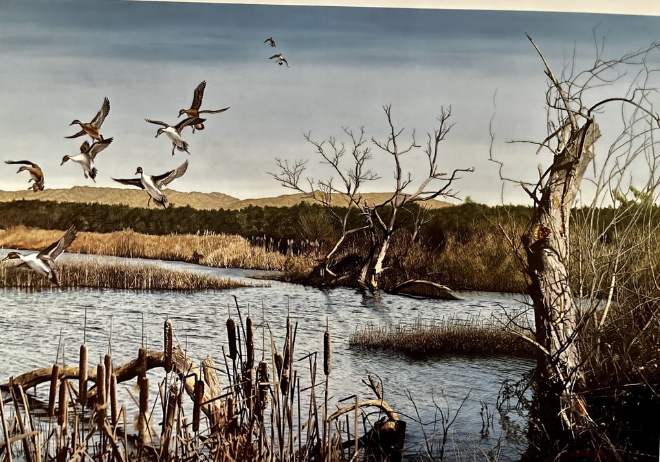 Signed & Numbered Richard Wilson Ducks Unlimited L/E Art Print 297/300 ...