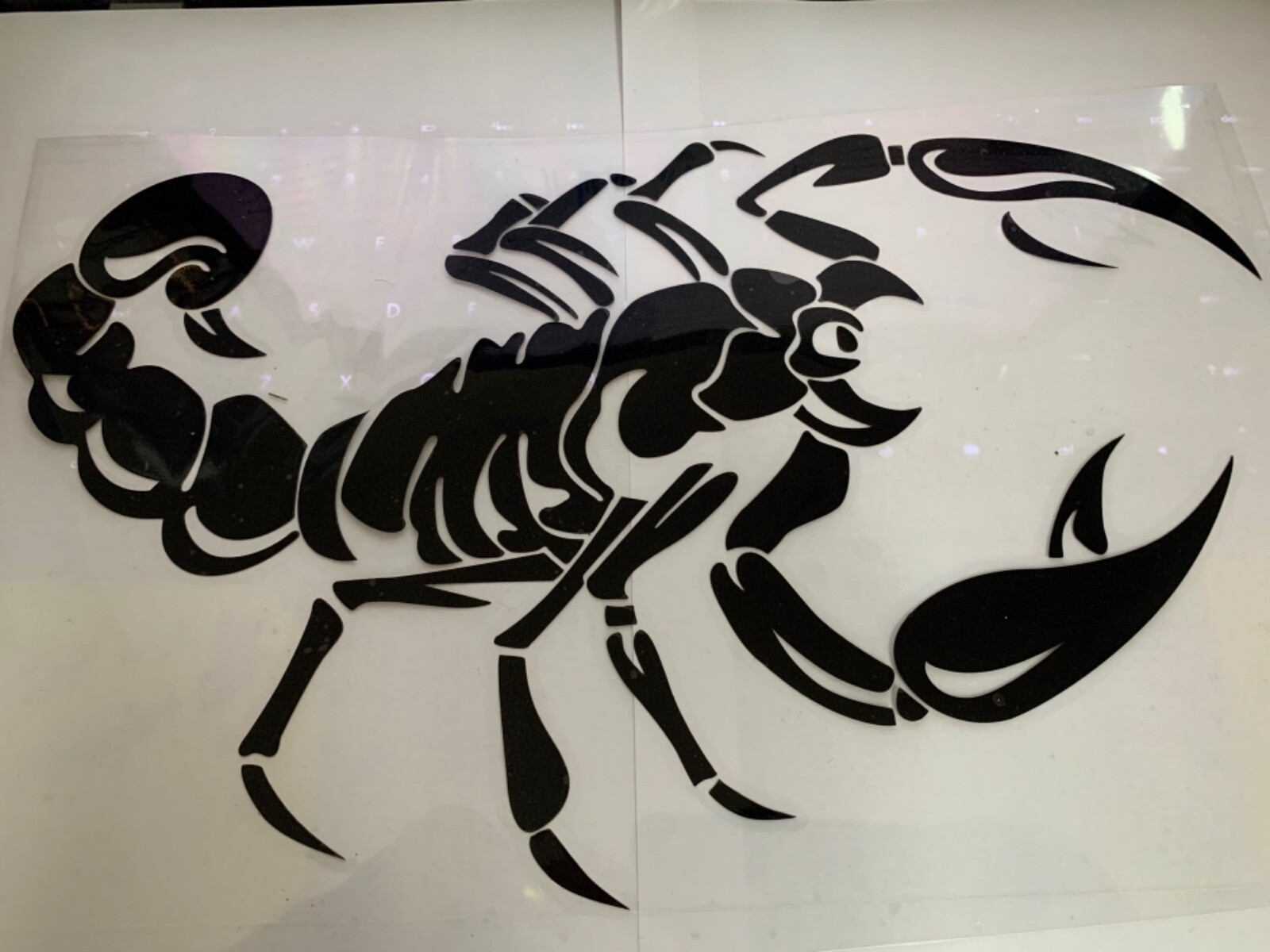 3d Scorpion Drawing