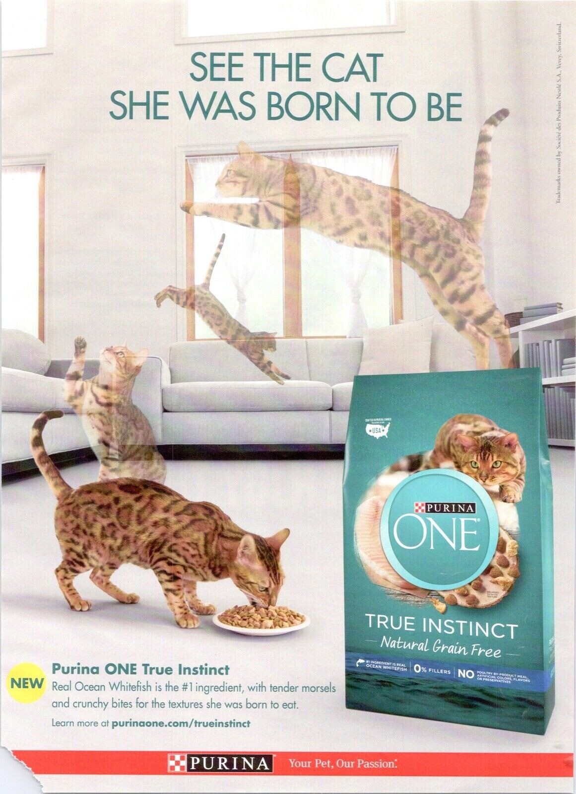 2018 Purina One Cat Food Advertisement Born to BE | eBay