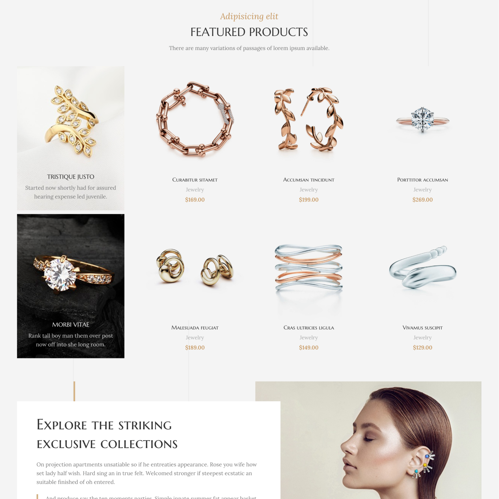 Jewellery Shop Website Design with Free VPS Web Hosting and ...