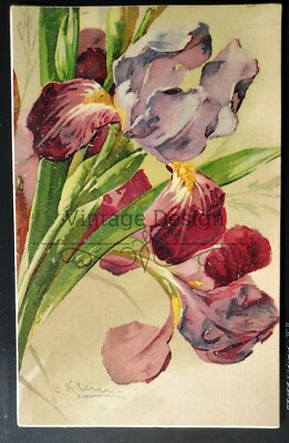 Catherine Klein postcard signed floral IRIS flowers embossed | eBay