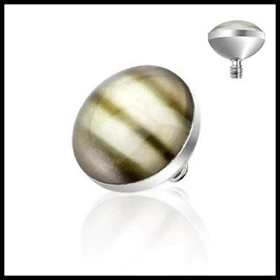 Dermal Top 316L Surgical Steel Internally Threaded Shell Inlayed Dome ...