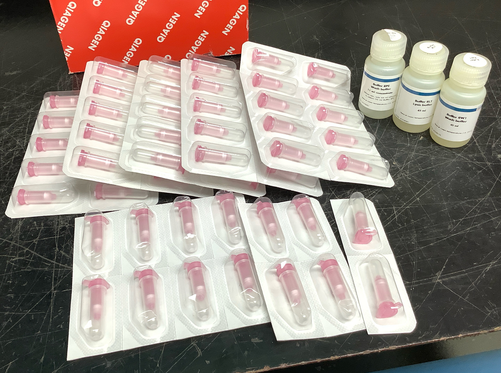 Qiagen Rneasy Mini Kit